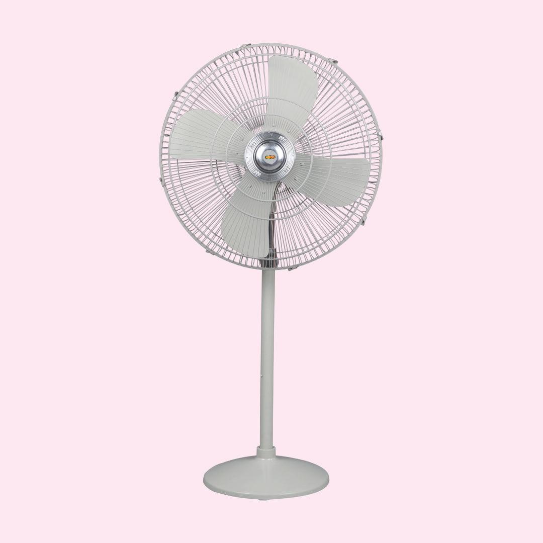 Standard – Super Asia uae